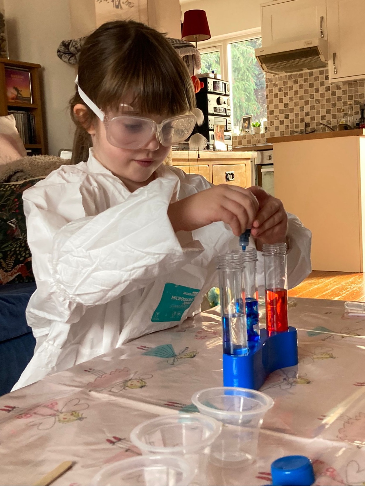 Science – St Barnabas C.E. Primary School, Worcester